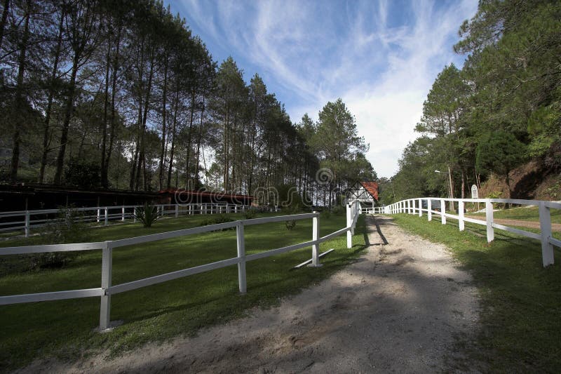 At the Paddock stock image. Image of paddock, clouds, equestrian - 732571