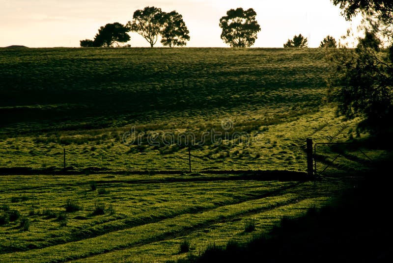 Paddock stock image. Image of natural, meadow, hill, green - 9051657
