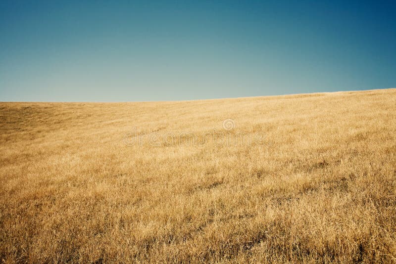 Empty Paddock with Shelter in the Horse Farm Stock Image - Image of ...