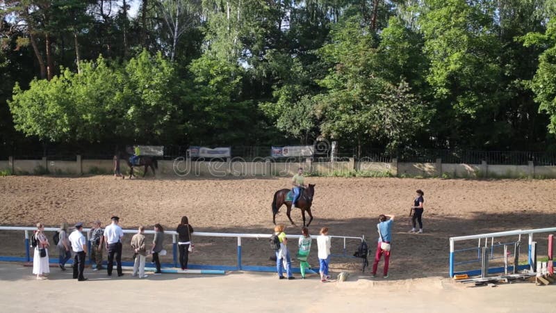 Paddock for Horse Training and People Ride on Stock Video - Video of ...