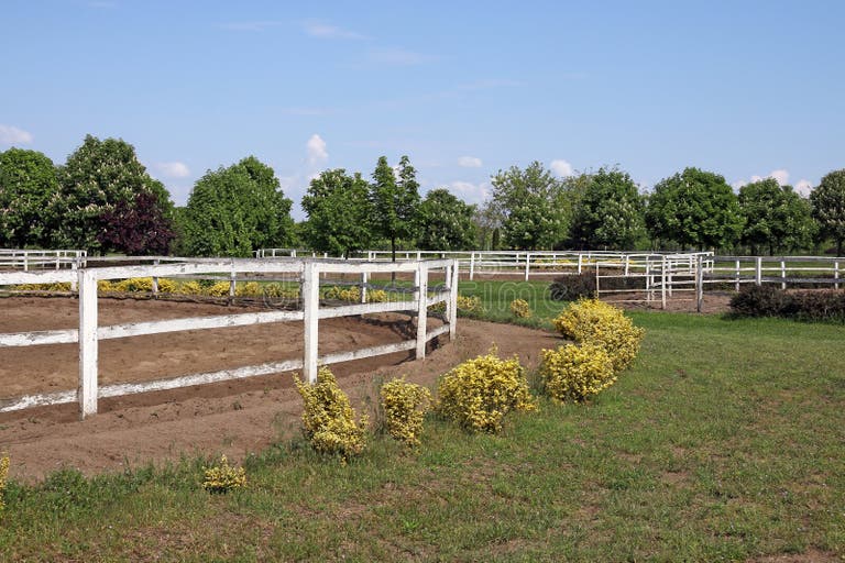 Paddock stock photo. Image of pasture, lawn, landscape - 53335878