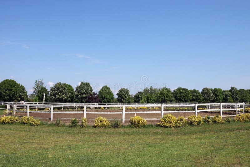 Paddock trees and blue sky stock photo. Image of green - 53423406