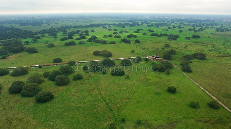Paddocks aerial view stock photo. Image of horizon, farming - 153854200