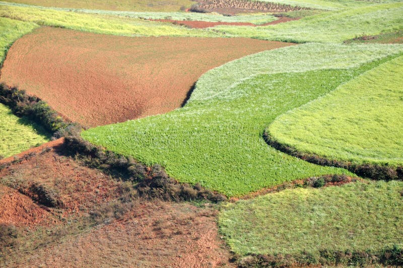 Paddy Field Kunming China Stock Photos - Free & Royalty-Free Stock ...