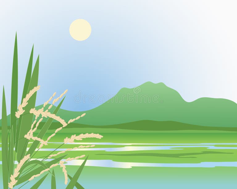 Paddy Fields Stock Illustrations – 5,780 Paddy Fields Stock ...