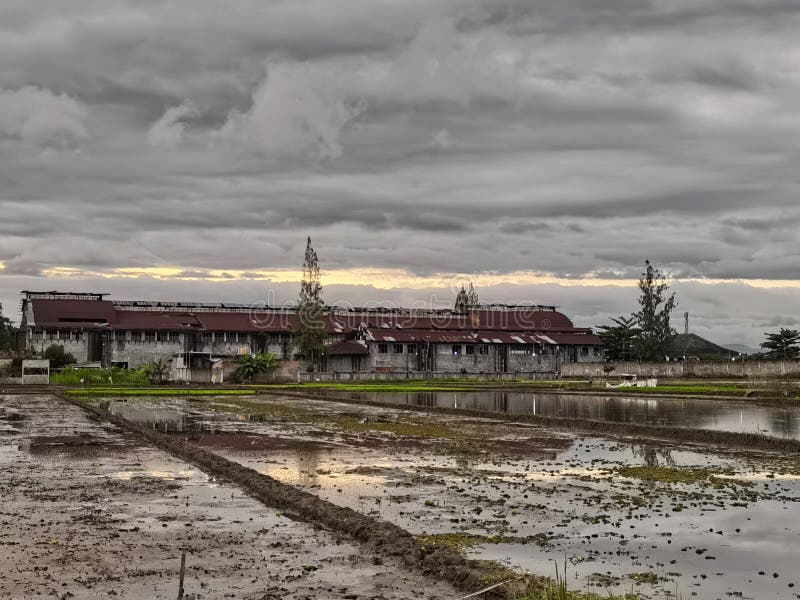 Paddy field with building stock image. Image of horizon - 292356081