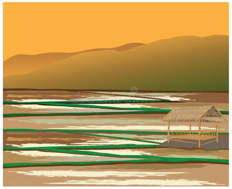 Paddy field stock illustration. Illustration of mountain - 77958649