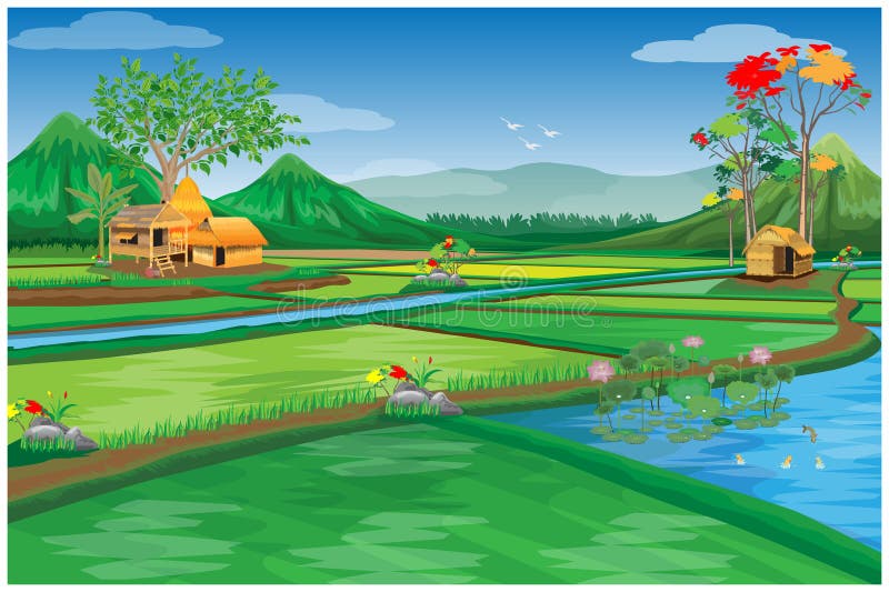 Paddy Field at Countryside ,straw Hut,vector Design. Stock Vector ...