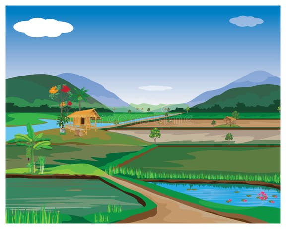 Paddy Field Stock Illustrations – 16,990 Paddy Field Stock ...