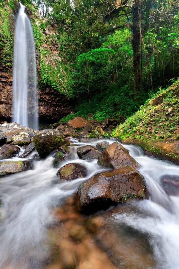 The paddy field stock image. Image of outdoor, beautiful - 58956177