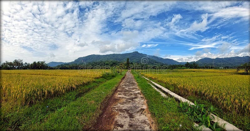 Field Bunds Stock Photos - Free & Royalty-Free Stock Photos from Dreamstime