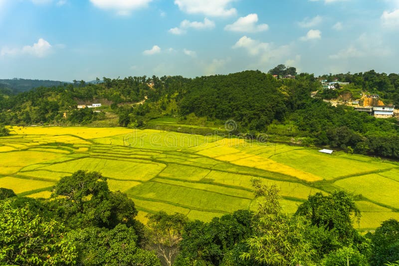 253 Agriculture Meghalaya Stock Photos - Free & Royalty-Free Stock ...