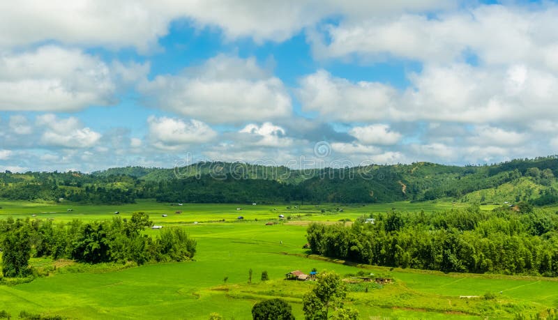 Paddy Fields in Khasi and Jaintia Hills of Meghalaya Stock Photo ...