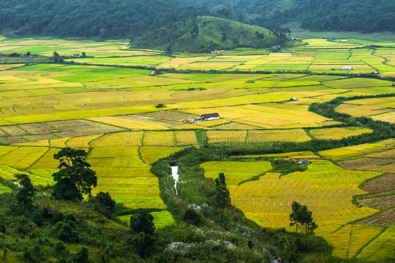 154 Meghalaya Farm Stock Photos - Free & Royalty-Free Stock Photos from ...