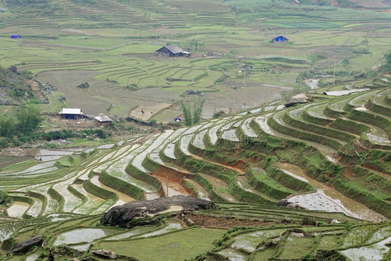 Paddy Fields in Bandung Use the Terracing Method Stock Photo - Image of ...
