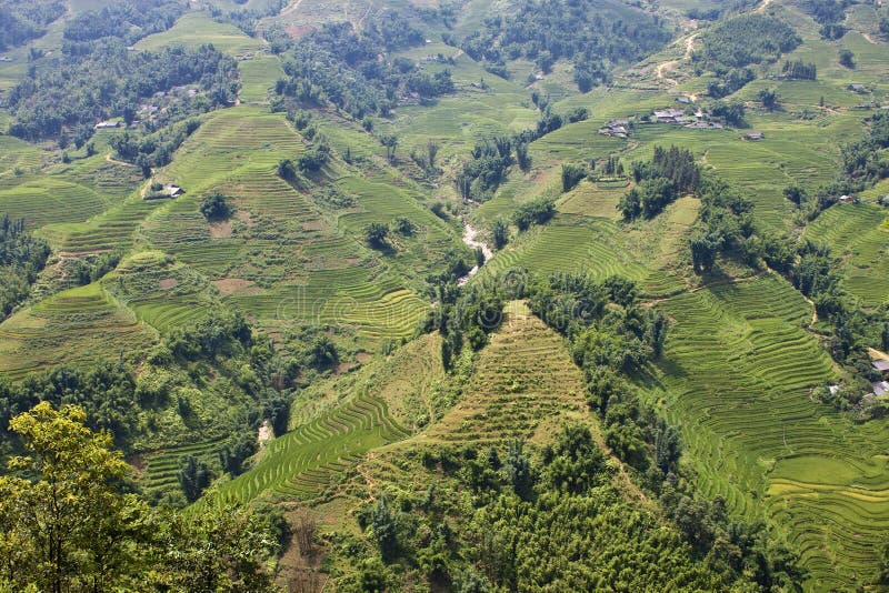 Paddy Fields and Village Houses Stock Image - Image of highland ...