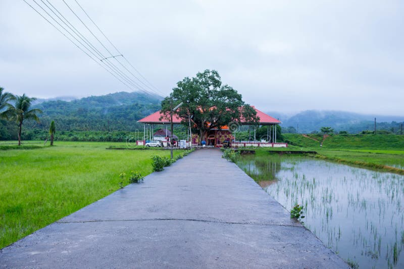 Madhur temple stock image. Image of hindu, kerala, temple - 96370145