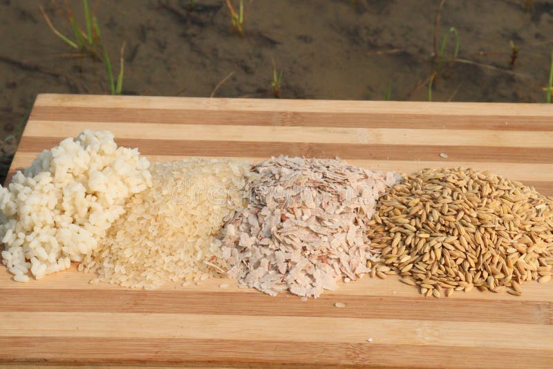 Paddy and Flattened Boiled Dry Rice on Bamboo Table Stock Photo - Image ...