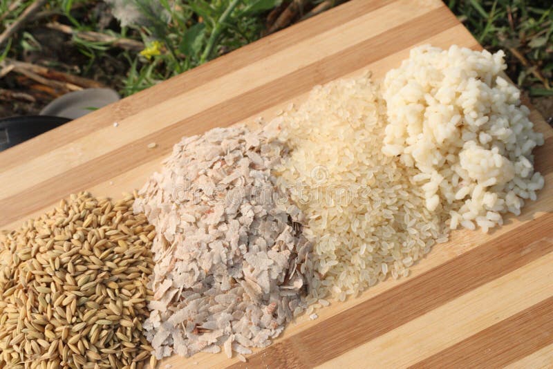 Paddy and Flattened Boiled Dry Rice on Bamboo Table Stock Photo - Image ...