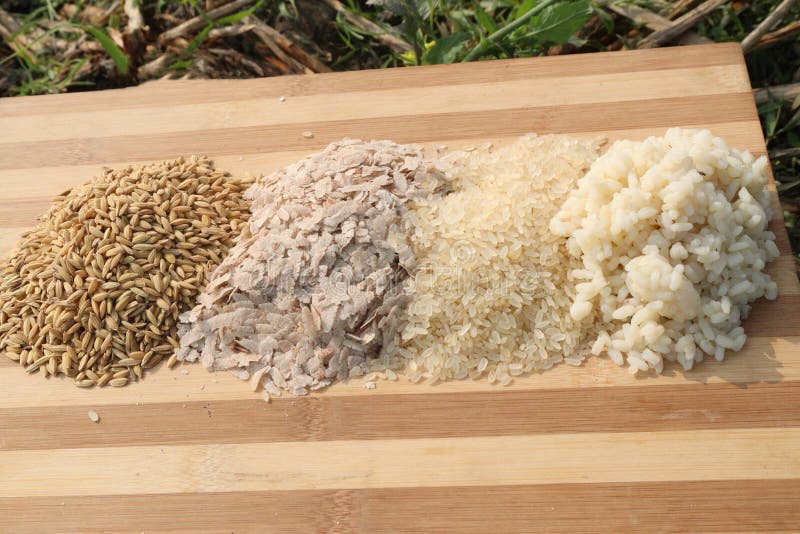 Paddy and Flattened Boiled Dry Rice on Bamboo Table Stock Photo - Image ...