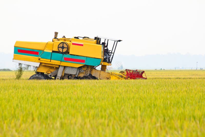 Paddy Harvester on Paddy Field Stock Image - Image of malaysia, asia ...