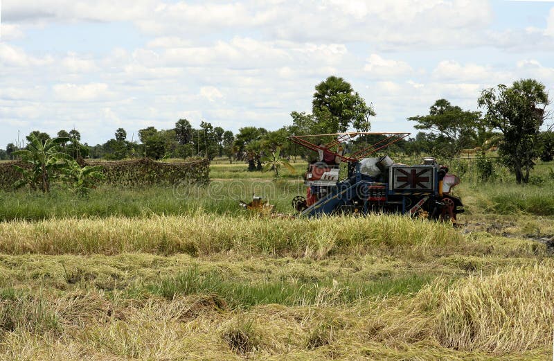 Paddy Harvesting Machine Picture. Image: 6517946