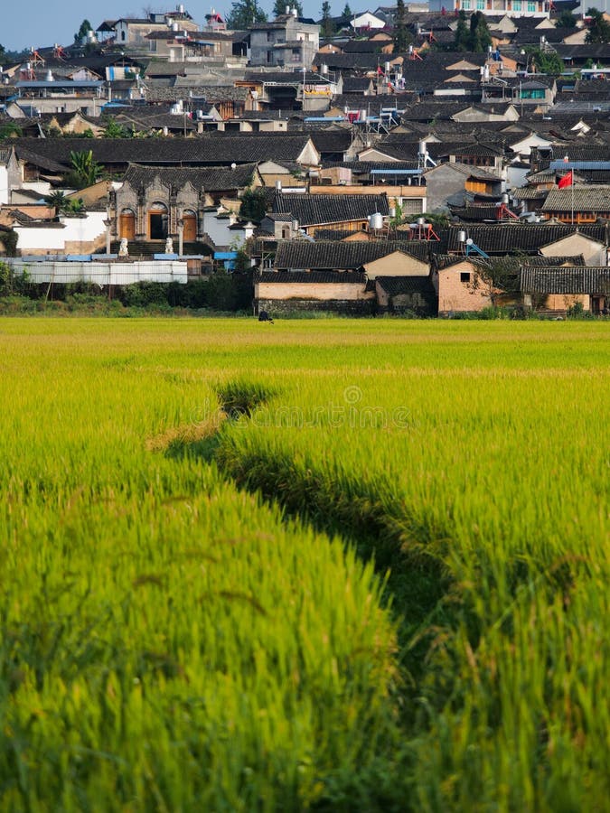 Paddy and houses stock image. Image of background, countryside - 34335651