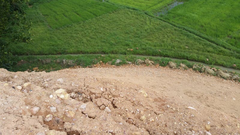 Paddy land from top view stock photo. Image of matara - 97969028