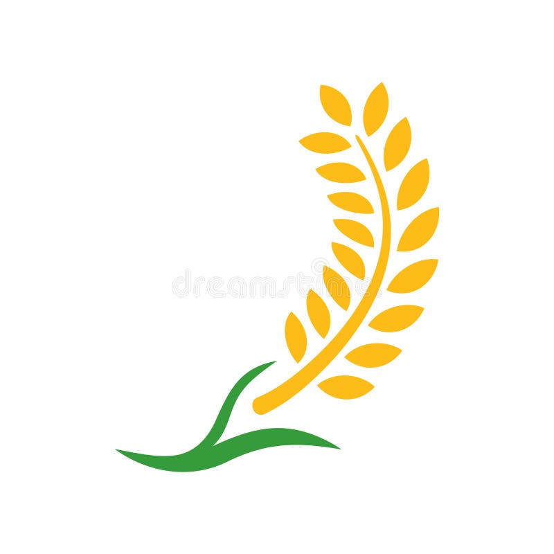 Paddy Logo Template Icon stock vector. Illustration of market - 352868374
