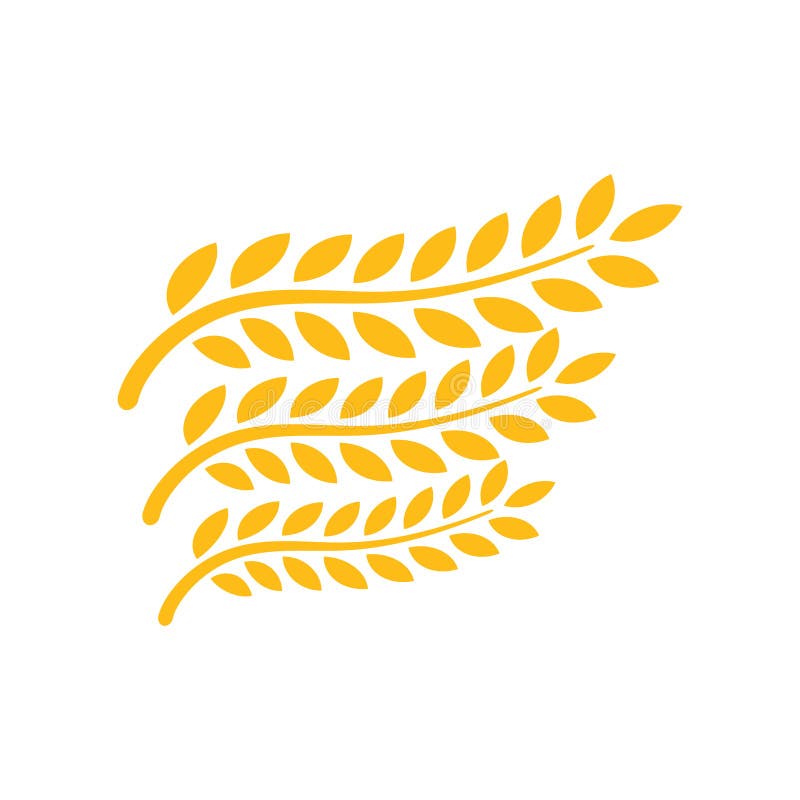 Paddy Logo Template Icon stock vector. Illustration of organic - 352868472