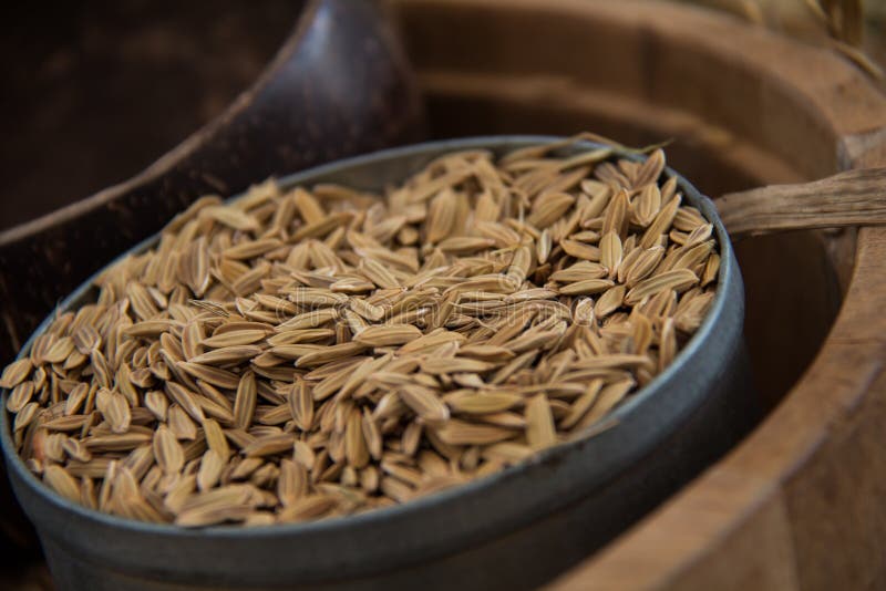 Paddy in measuring cup stock photo. Image of cuisine - 61733062