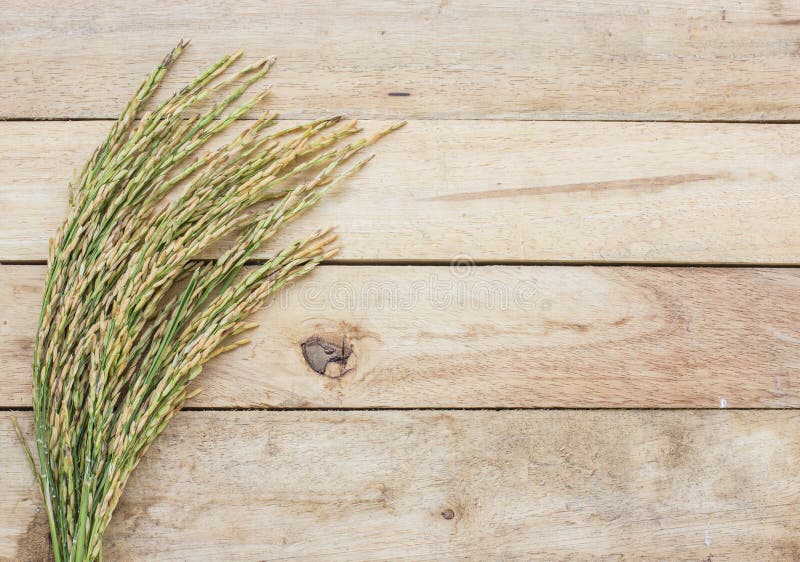 Paddy pile on wood stock image. Image of wood, organic - 63064527