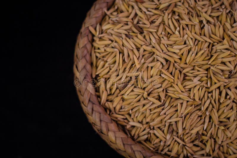 Paddy Rice in Bamboo Basket with Black Background and Blurred Image ...