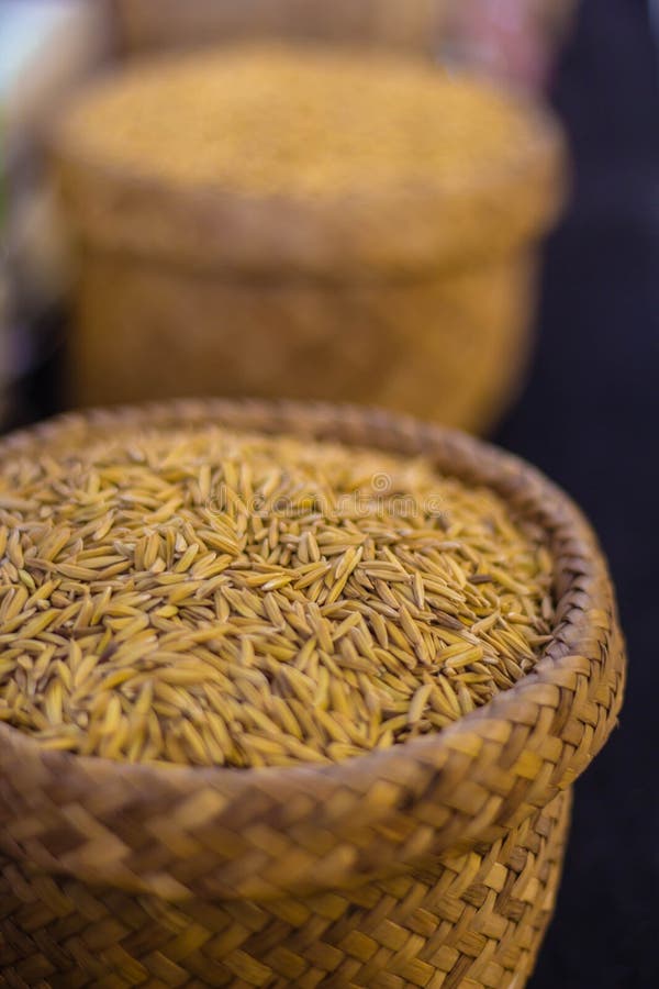 Paddy Rice in Bamboo Basket with Black Background and Blurred Image ...