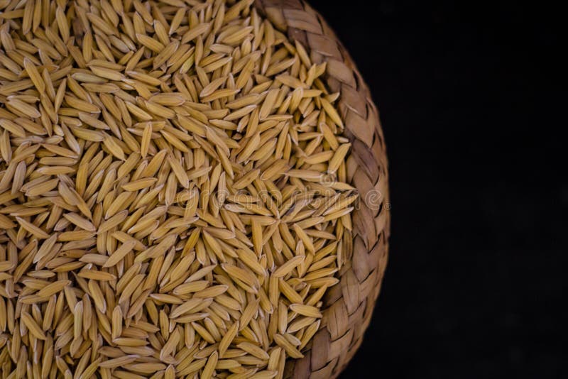 Paddy Rice in Bamboo Basket with Black Background and Blurred Image ...