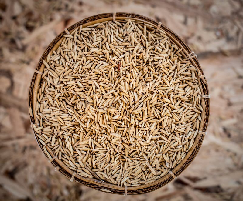 Paddy Rice in Basket Closed Up Stock Image - Image of meal, nature ...