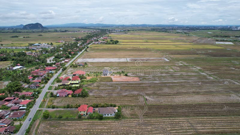 The Paddy Rice Fields of Kedah, Malaysia Stock Image - Image of aerial ...