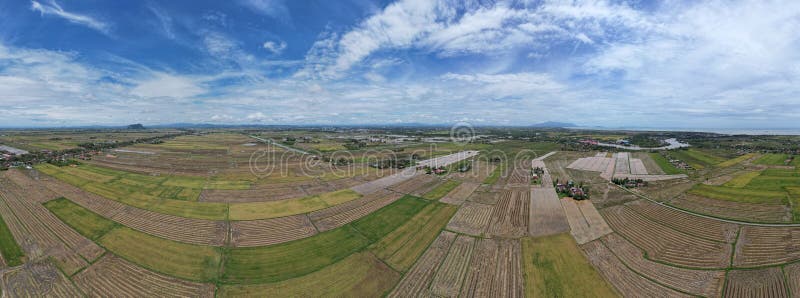 The Paddy Rice Fields of Kedah, Malaysia Stock Photo - Image of 2022 ...