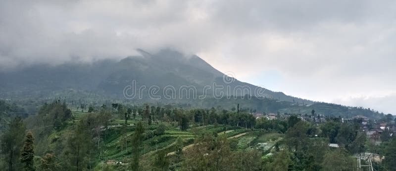 Paddy Rice Fields Near Mount Merapi Stock Image - Image of forest ...