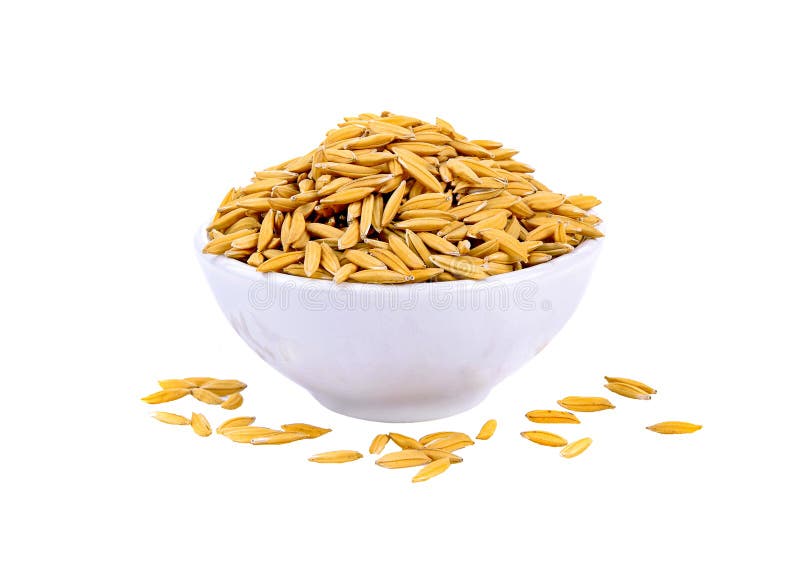 508 Single Rice Paddy Stock Photos - Free & Royalty-Free Stock Photos ...