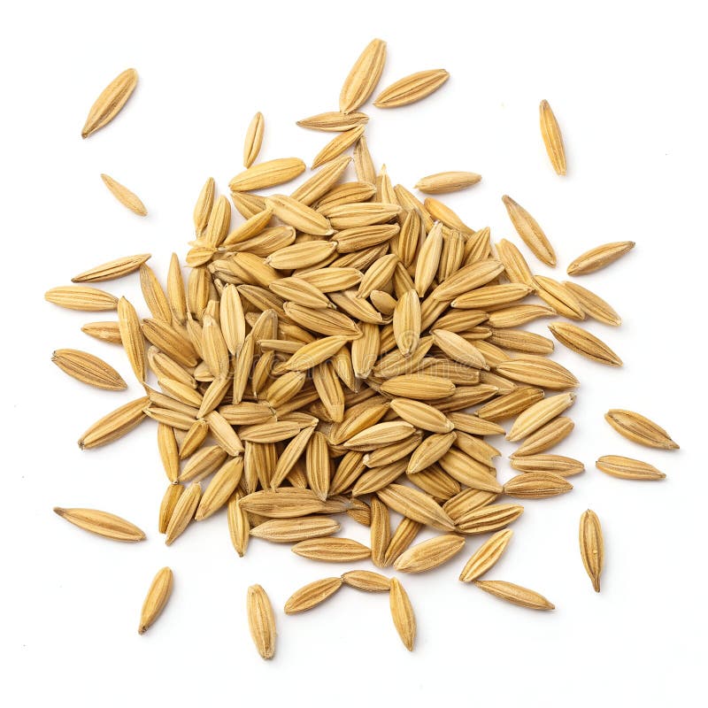 Paddy Rice Seeds, Top View Isolated on White Background Stock ...