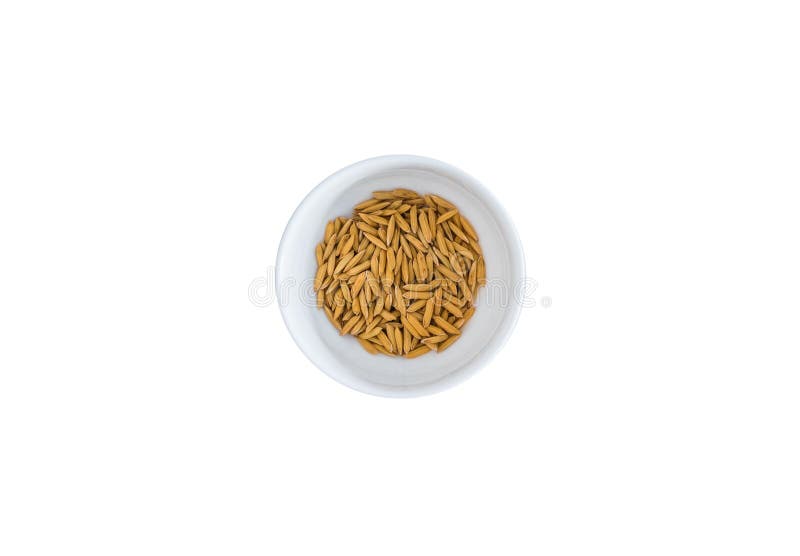 385 Paddy Rice White Plate White Background Stock Photos - Free ...