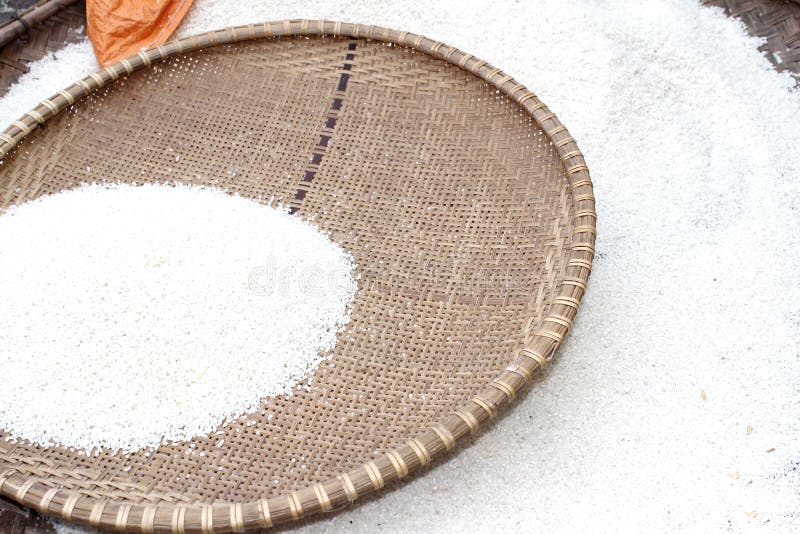 Paddy in Vietnam. Cook the Rice Stock Photo - Image of harvest ...