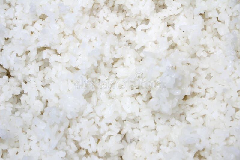 Paddy in Vietnam, it is White Stock Image - Image of white, field: 35510887