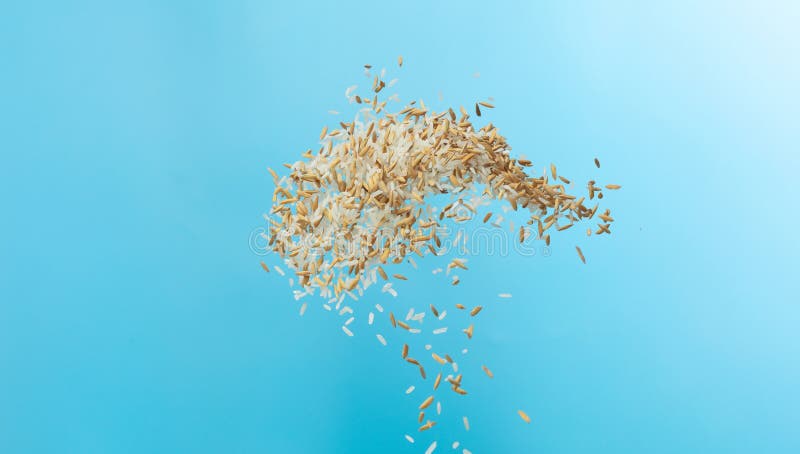 White Rice Grain Fly in Mid Air. Ready Rice Falling Scatter, Explosion ...