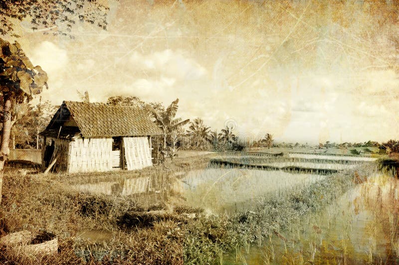 Paar Met Traditionele Kleding Van Java Stock Foto - Afbeelding ...