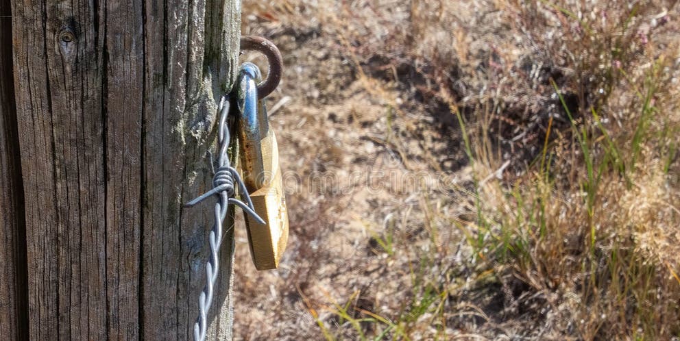 Padlock on a Barbed Wire on a Tree. Stock Photo - Image of equipment ...
