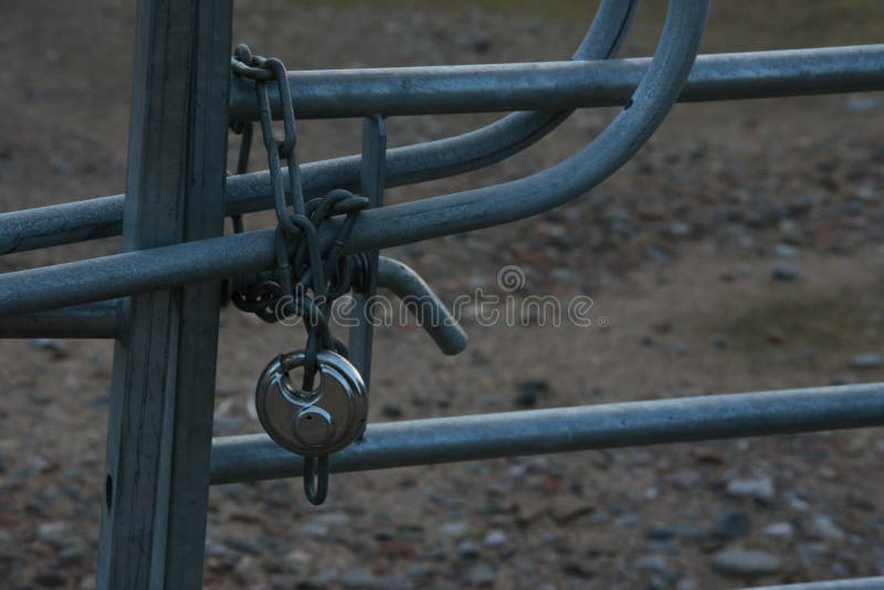 Padlocked Gate stock photo. Image of chrome, steel, padlock - 84615004