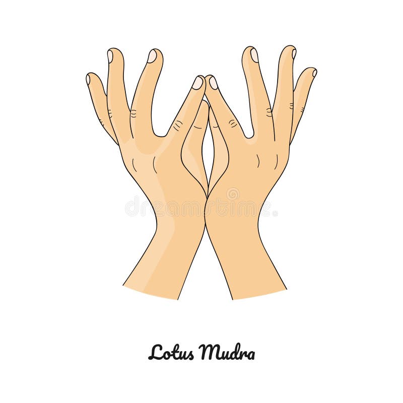 Padma Mudra / Gesture of Lotus. Vector Stock Vector - Illustration of ...