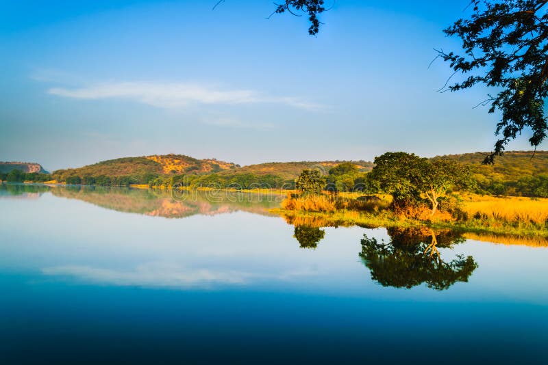 Padma Talab Stock Photos - Free & Royalty-Free Stock Photos from Dreamstime